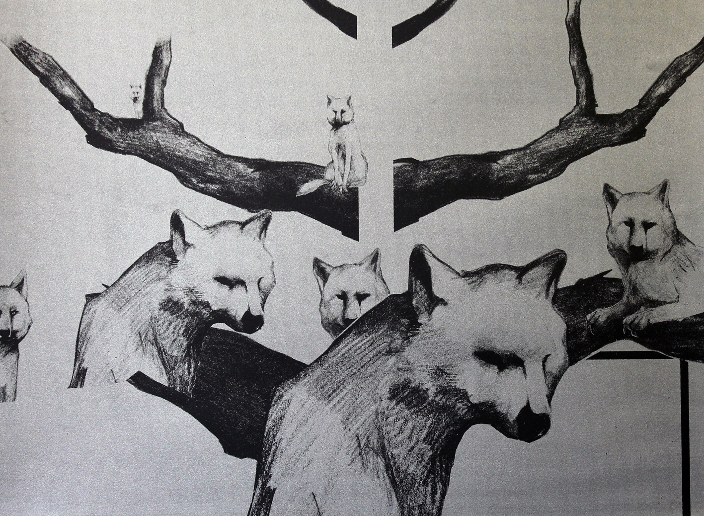 Slawa Harasymowicz - Wolf Man - Freud Museum London