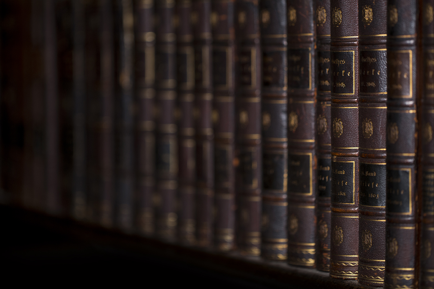 Two Case Histories ('Little Hans' and the 'Rat Man') | Freud Museum London