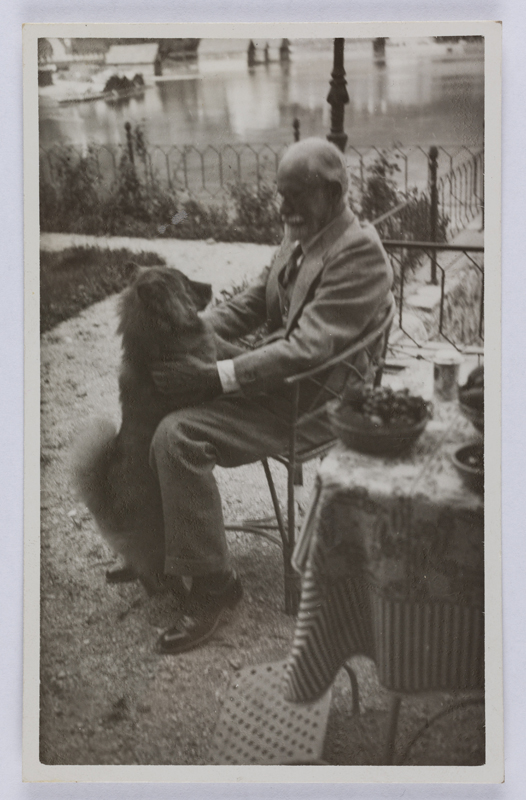 Freud Portraits - Freud Museum London