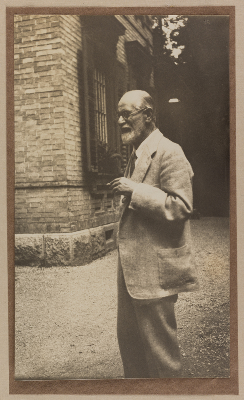 Freud Portraits - Freud Museum London