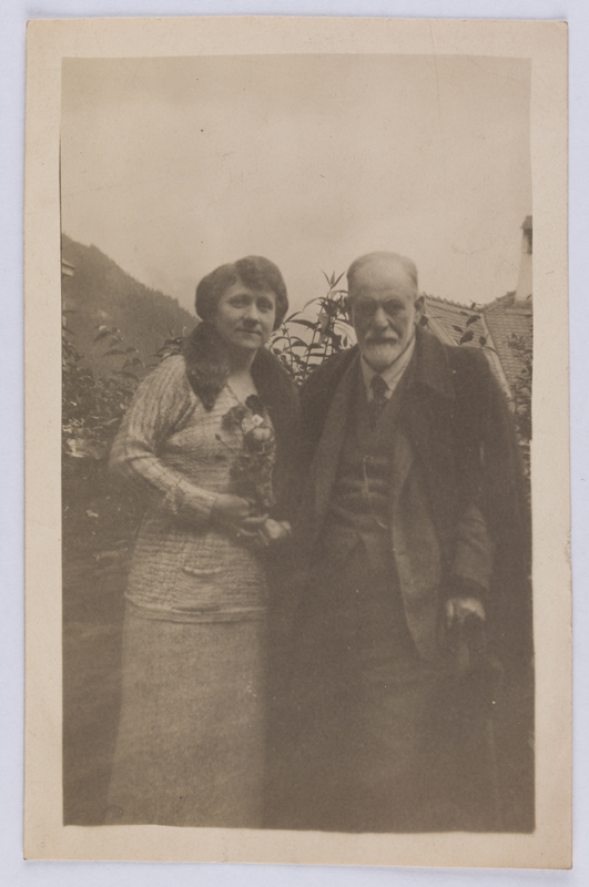 Colleagues & History of Psychoanalysis - Freud Museum London