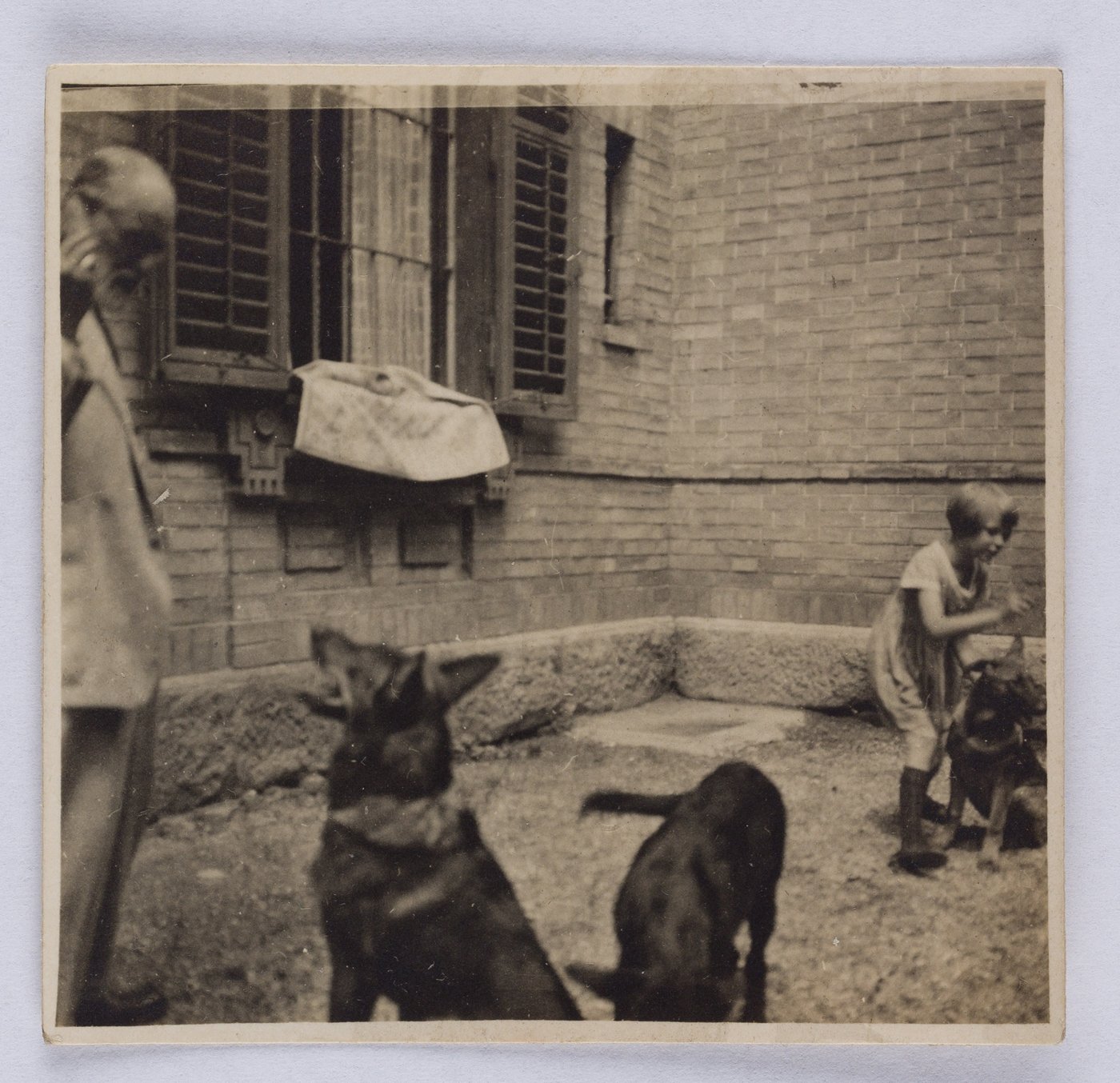 Freud & Family - Freud Museum London