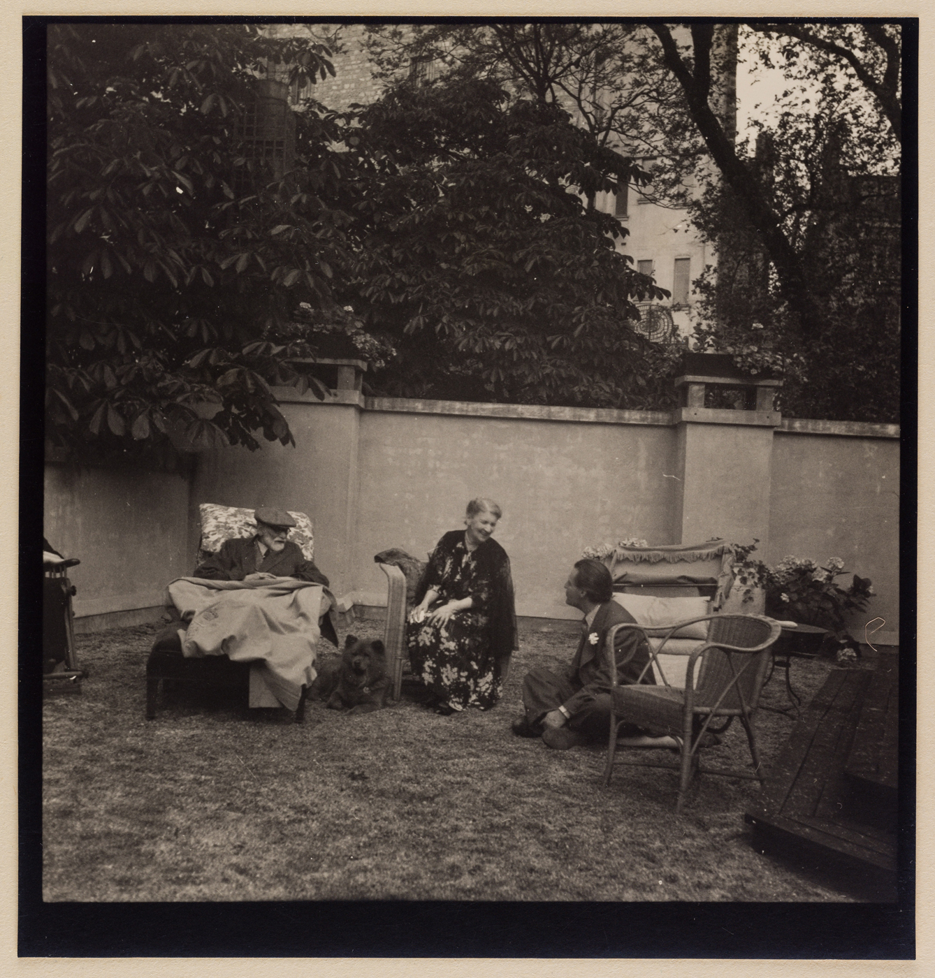 Freud & Family | Freud Museum London