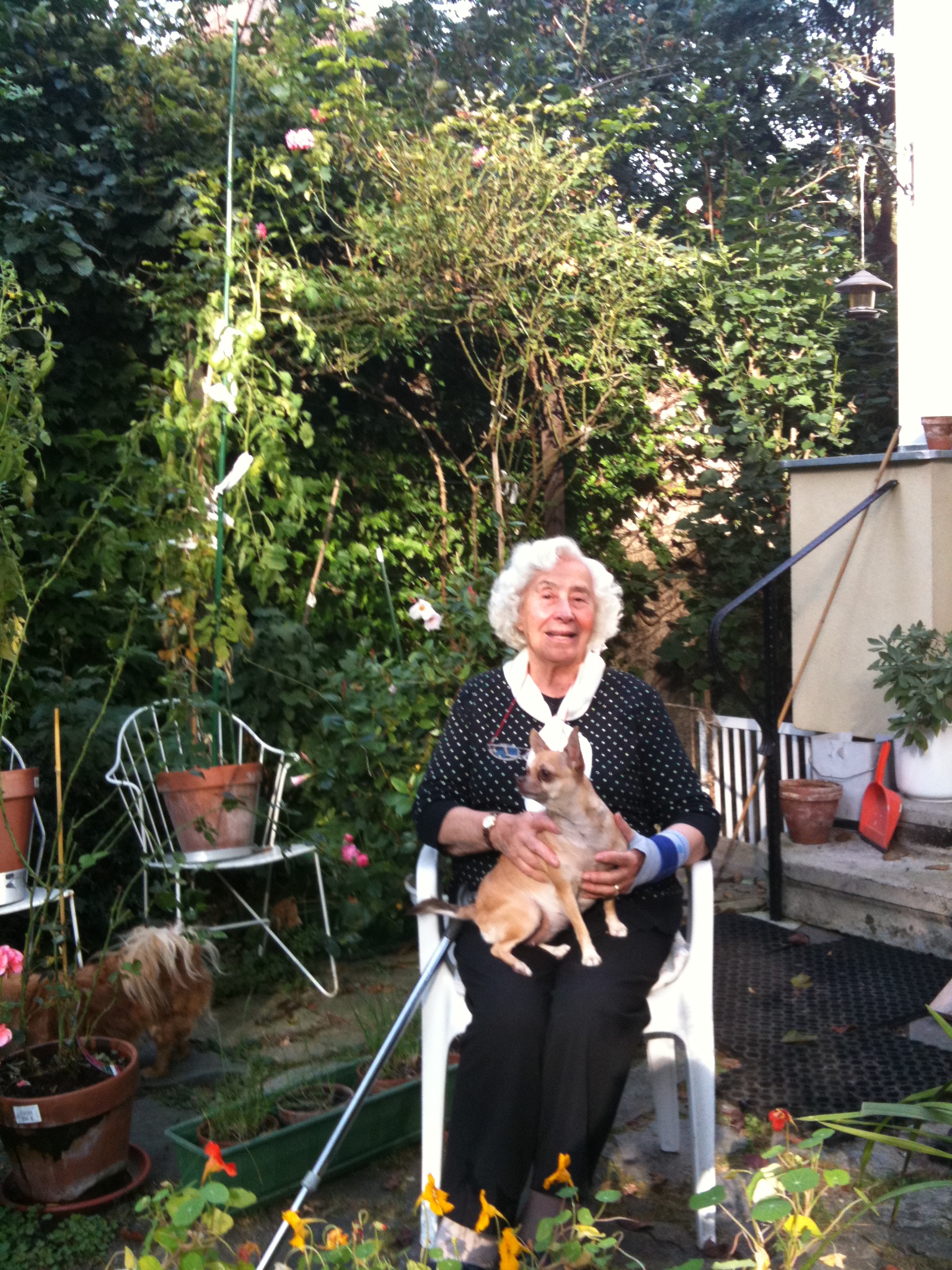 Flowers for Freud - Freud Museum London