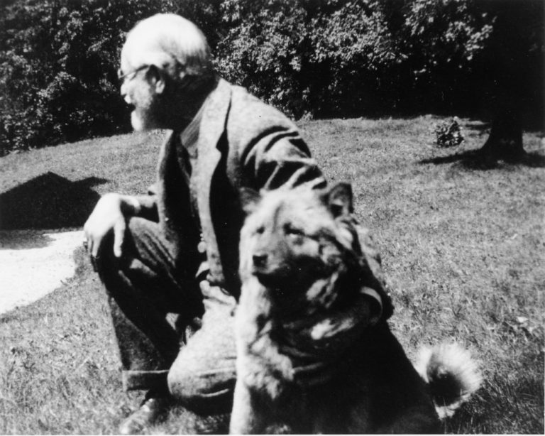 Freud at Home with his Dogs - Freud Museum London