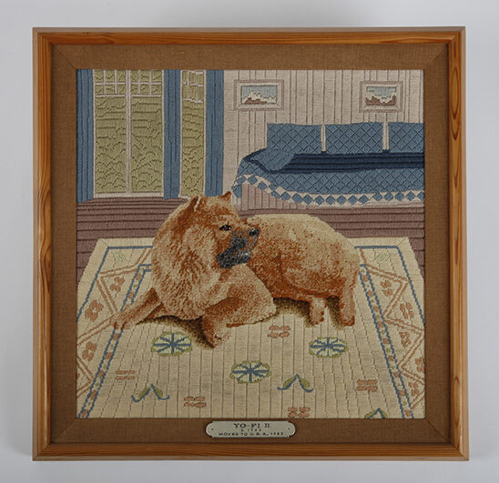 Anna Freud's Story - Freud Museum London