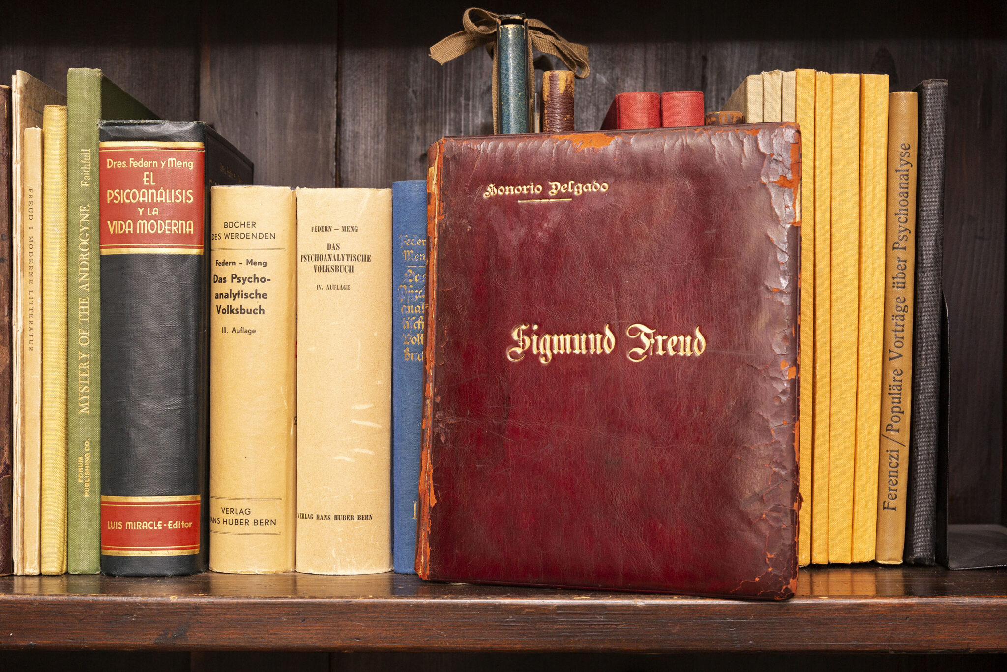 Sigmund Freud Library Conservation Appeal - Freud Museum London