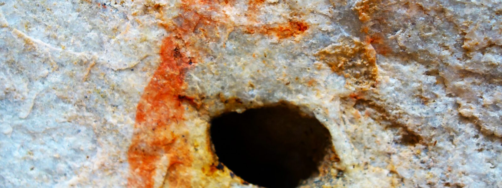 Social Dreaming Matrix - Freud Museum London