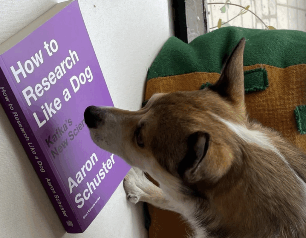 How to Research Like a Dog: Kafka's New Science - Book Launch Event ...